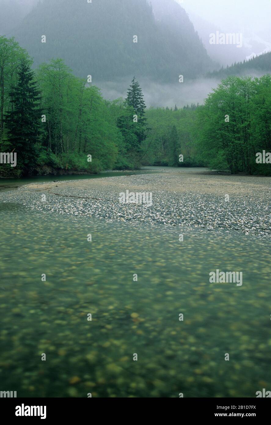 Gold Creek, Golden Ears Provincial Park, British Columbia, Canada Stock ...