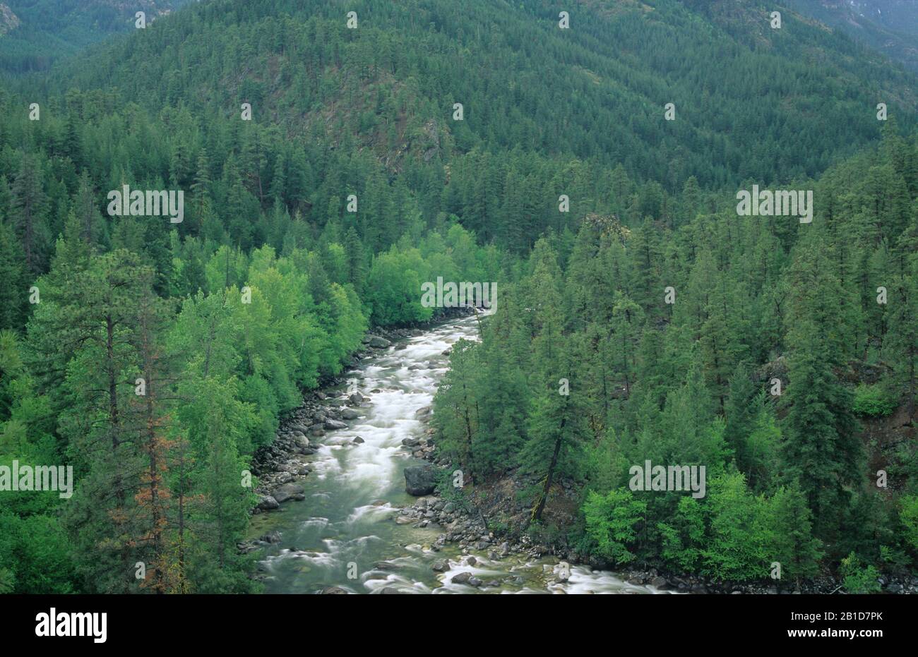 Stein River on Stein River Trail at Wigwam camp, Stein Valley Nlaka ...
