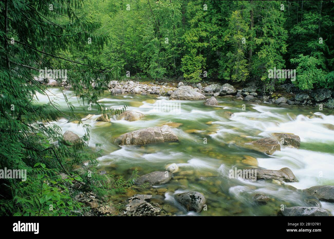 Stein River on Stein River Trail at Wigwam camp, Stein Valley Nlaka ...