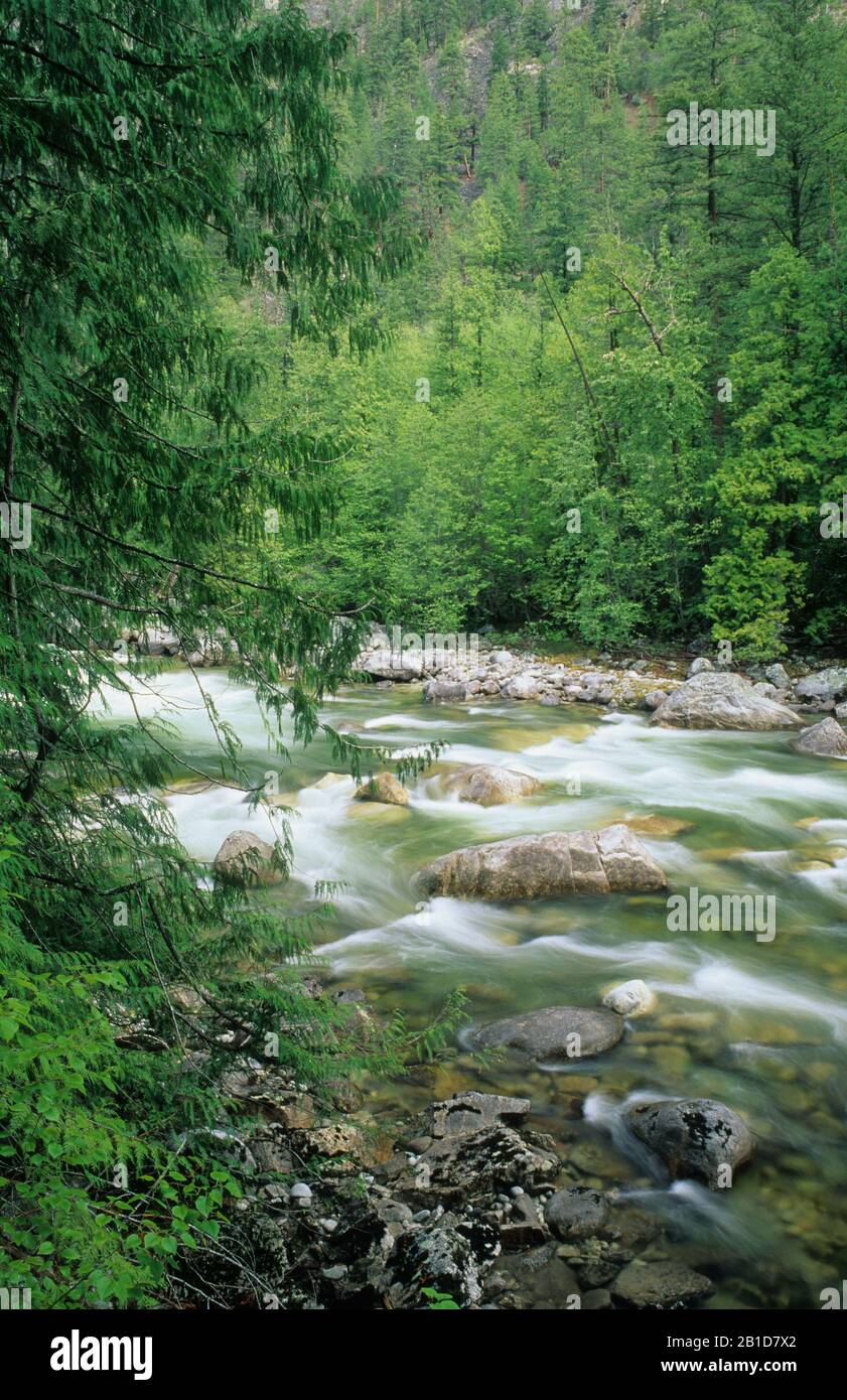 Stein River on Stein River Trail at Wigwam camp, Stein Valley Nlaka ...