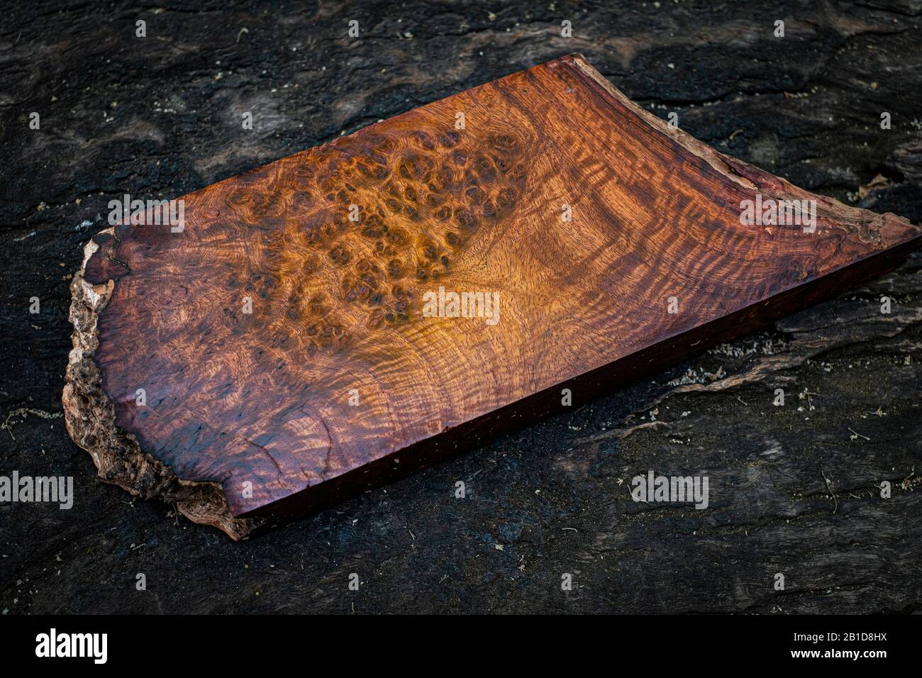 Nature timber Burma Padauk burl wood striped Exotic wooden beautiful ...