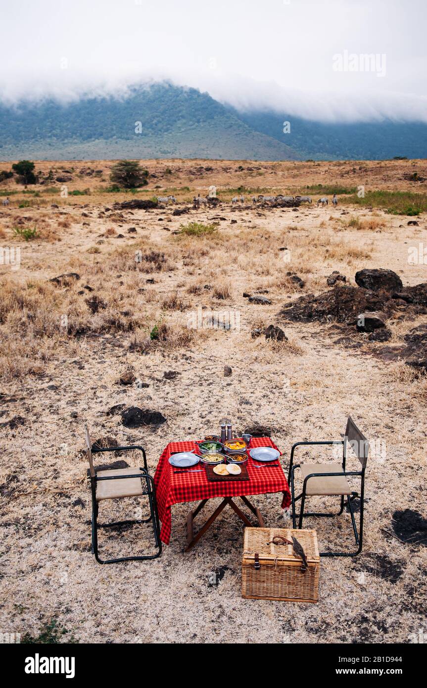 Safari outdoor picnic with African Tanzanian cuisine with baked Chapati ...