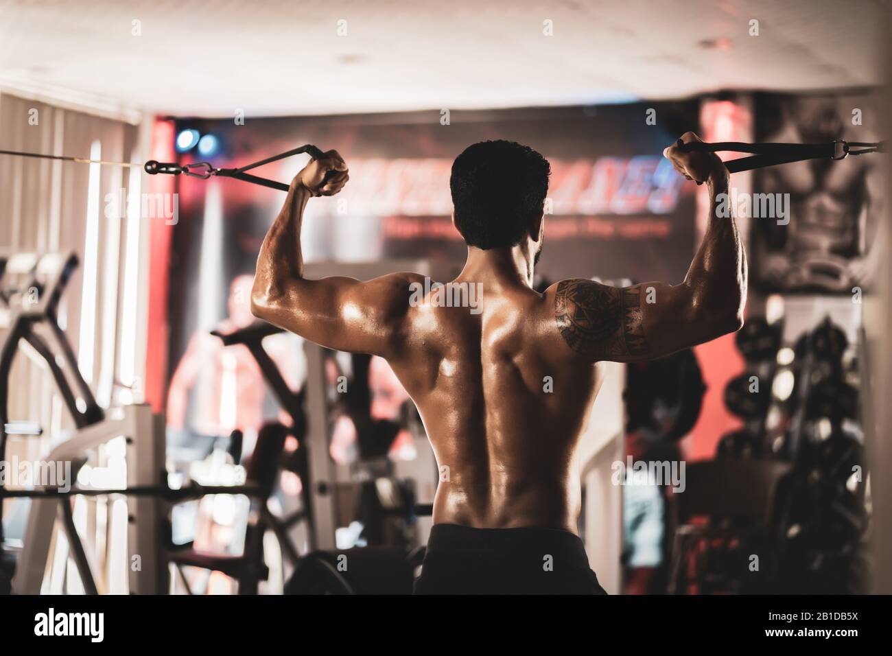 Cable Overhead Curl Exercise Database (Biceps14) Overhead Biceps