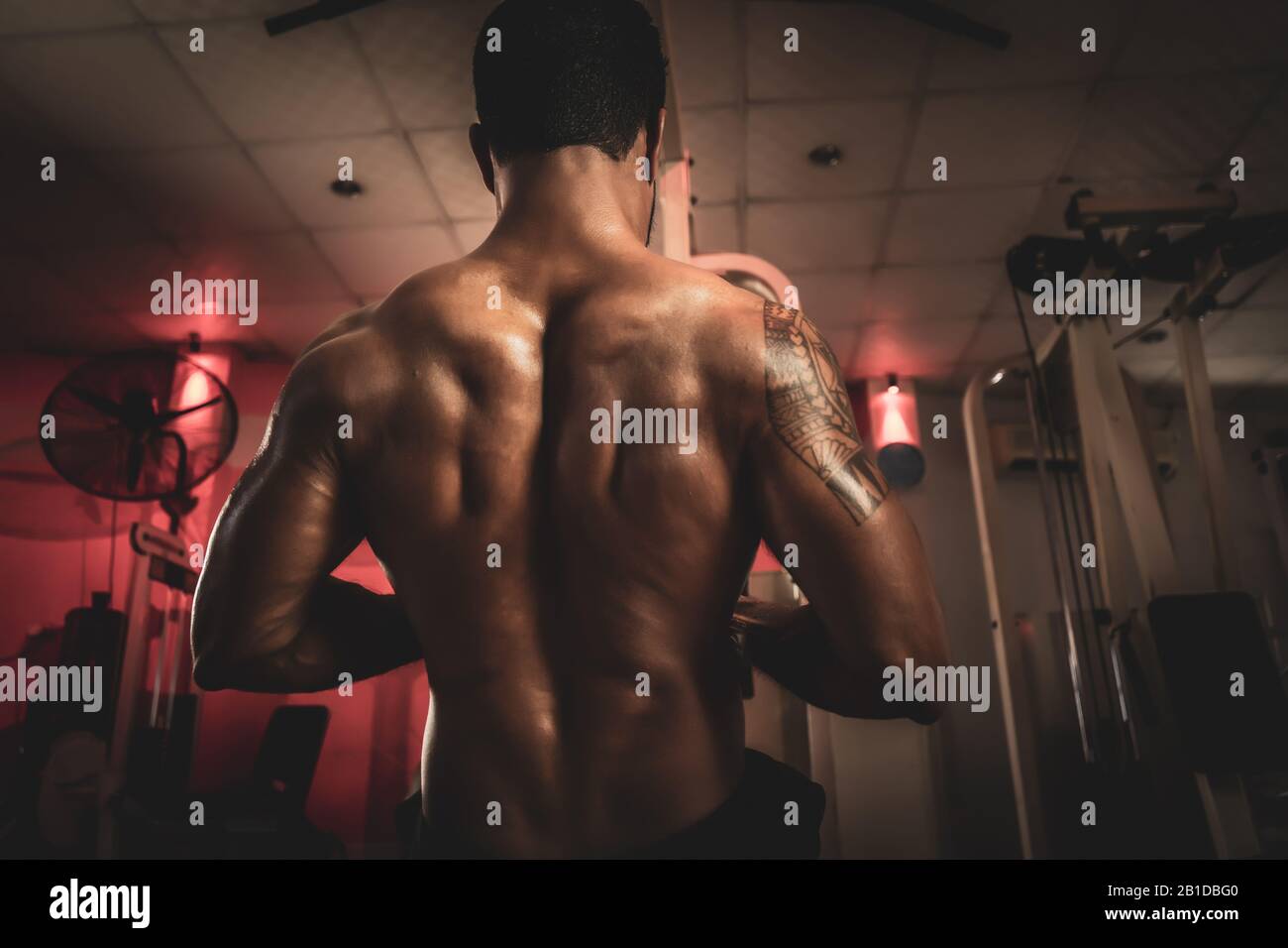 Athlete makes low cable pulley row seated in gym Close back view Stock ...