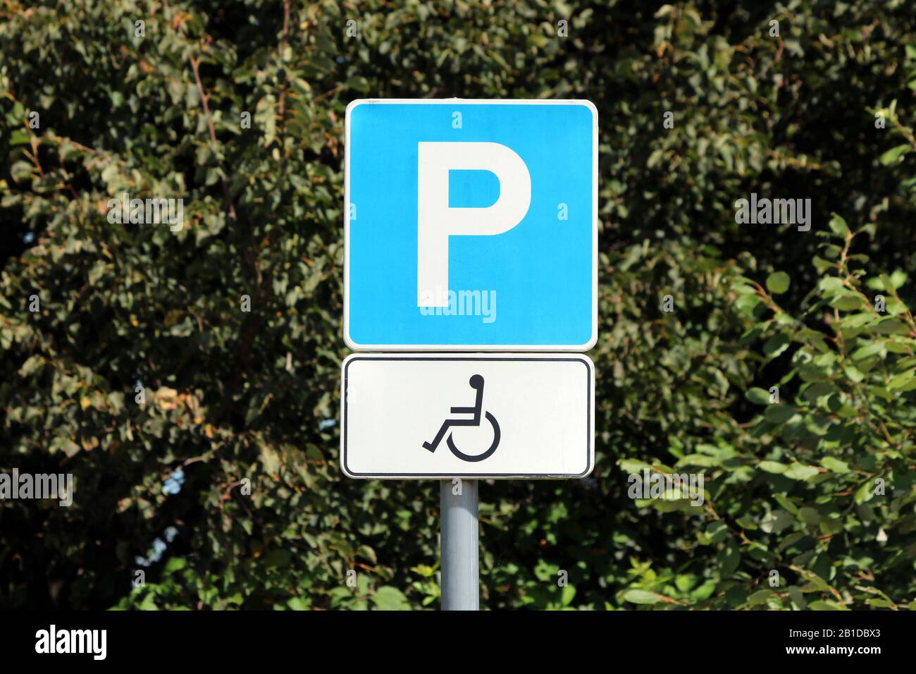 Handicap parking blue and white road sign mounted on top of metal pole ...
