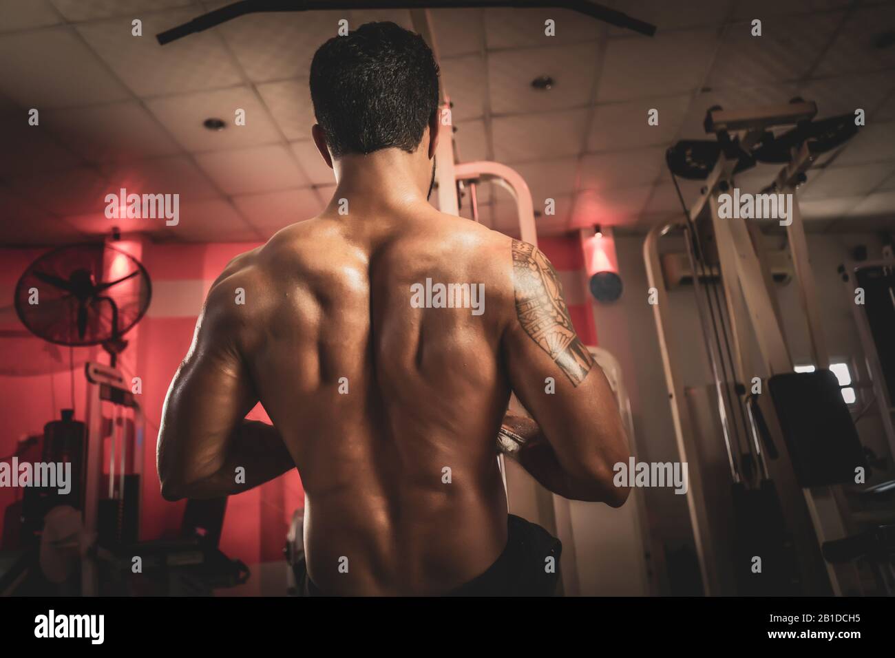 Athlete makes low cable pulley row seated in gym Close back view Stock ...