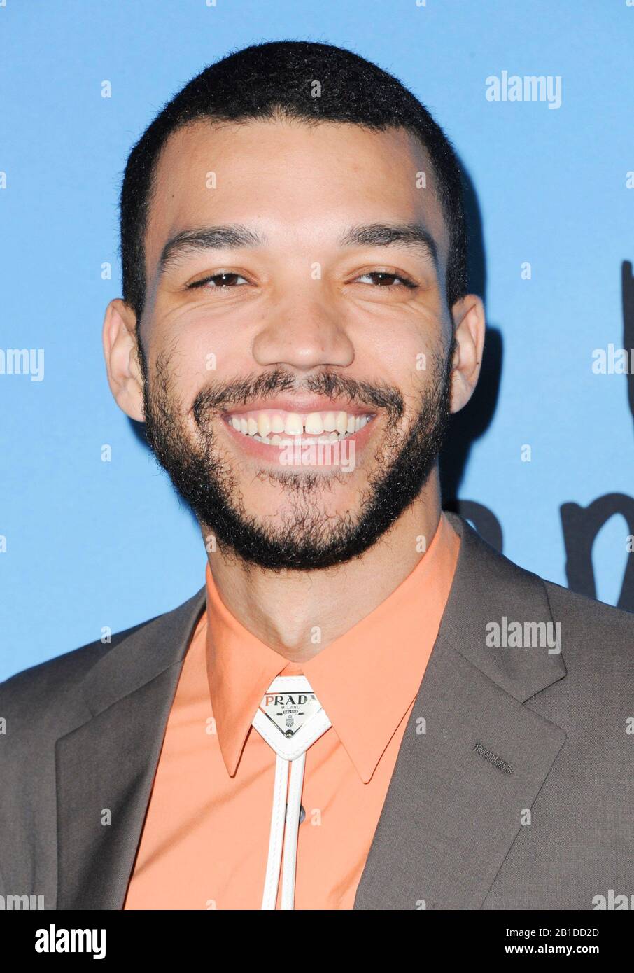 Justice smith hi-res stock photography and images - Alamy