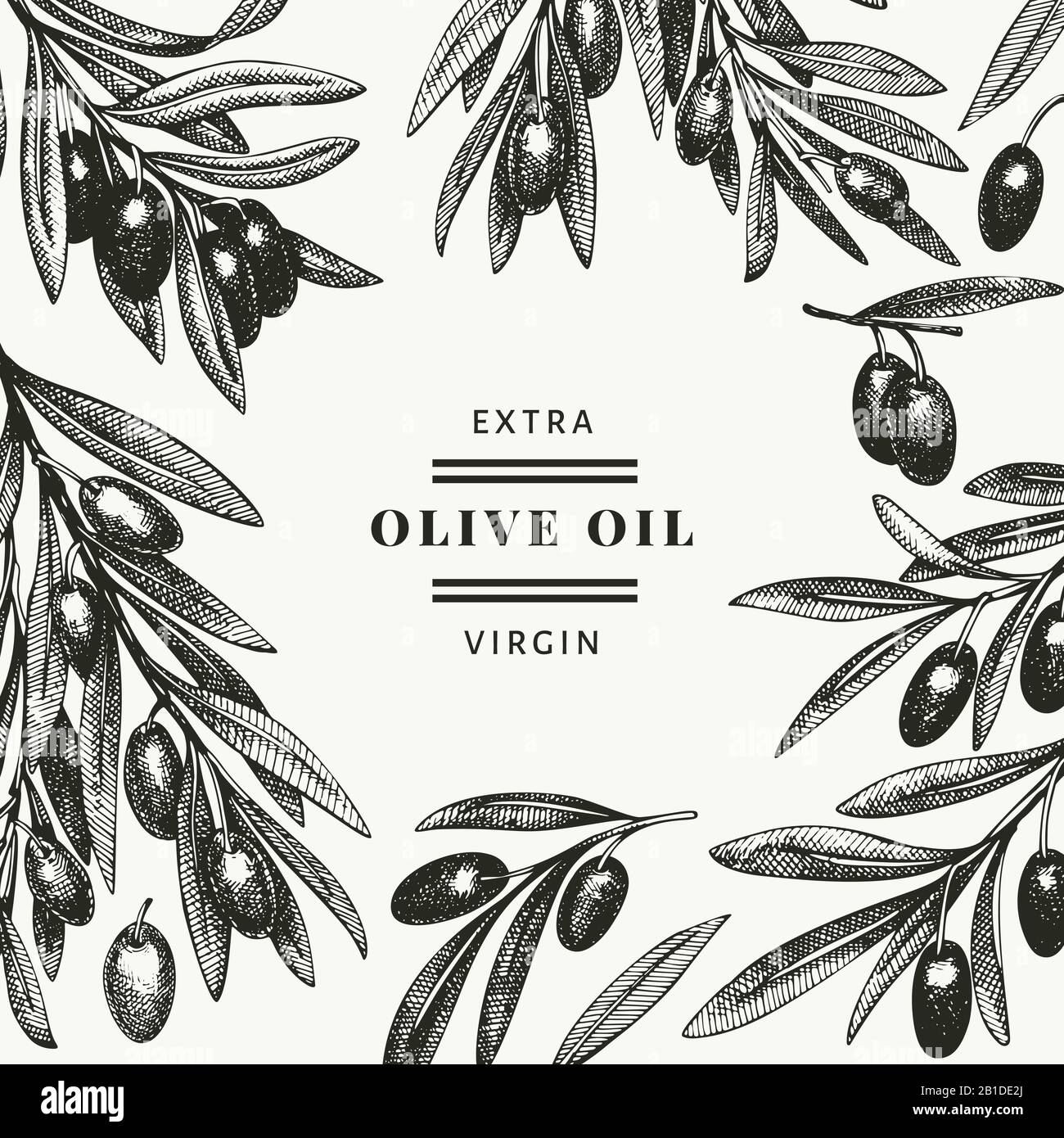 Olive branch design template. Hand drawn vector food illustration ...