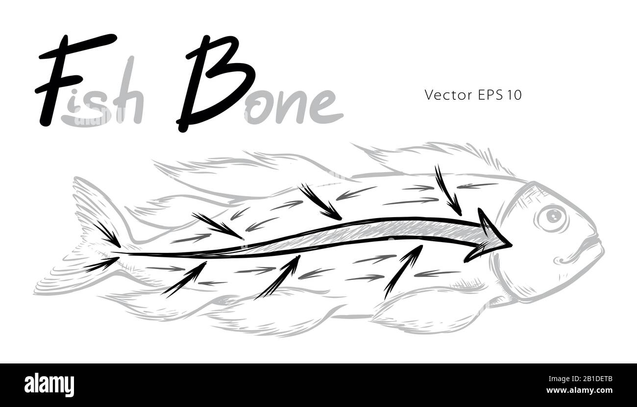 Ishikawa fishbone diagram detailed vector sketch illustration Stock ...