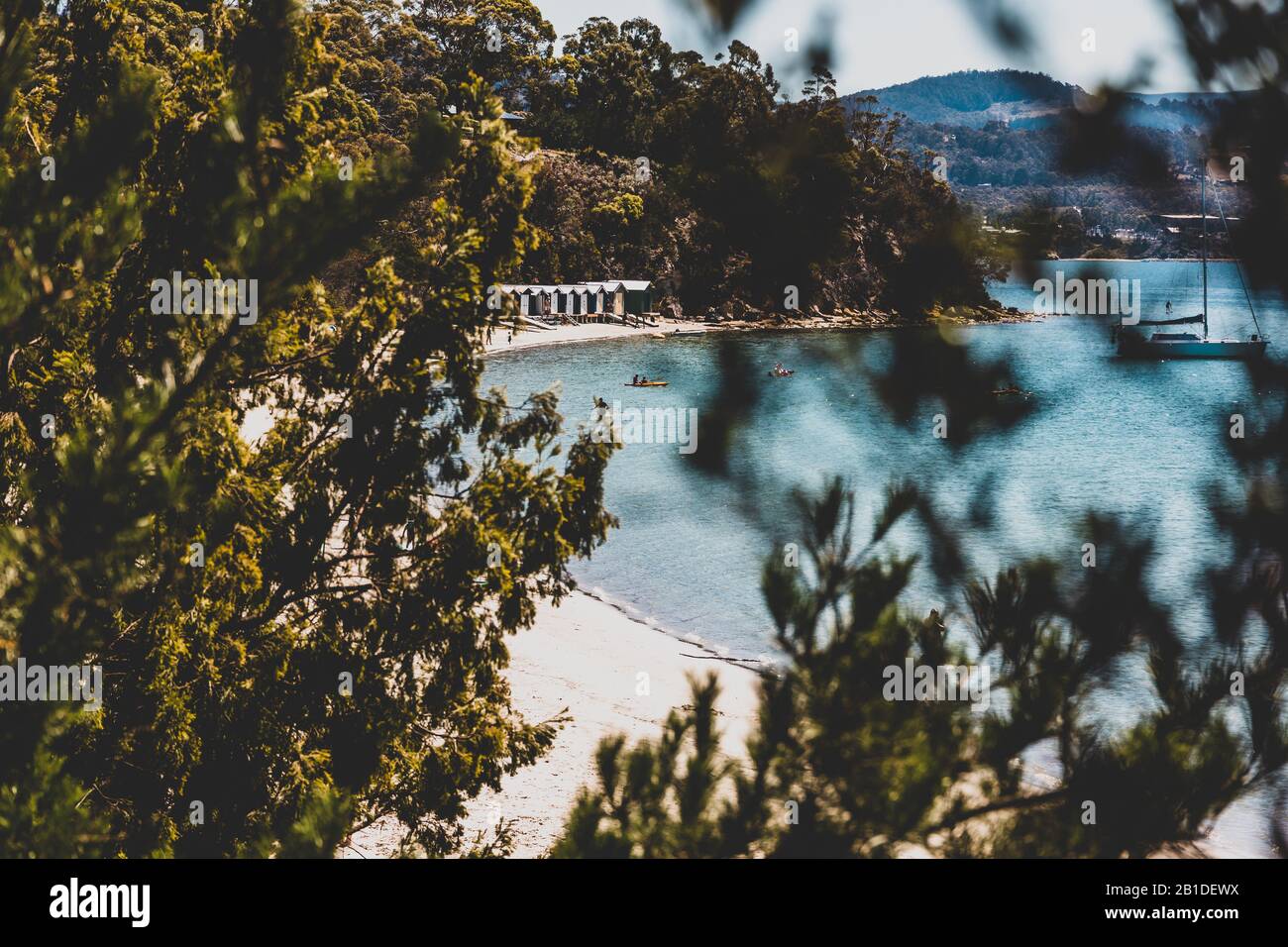 CONINGHAM BEACH, TASMANIA - February 23rd, 2020: wild Tasmanian ...