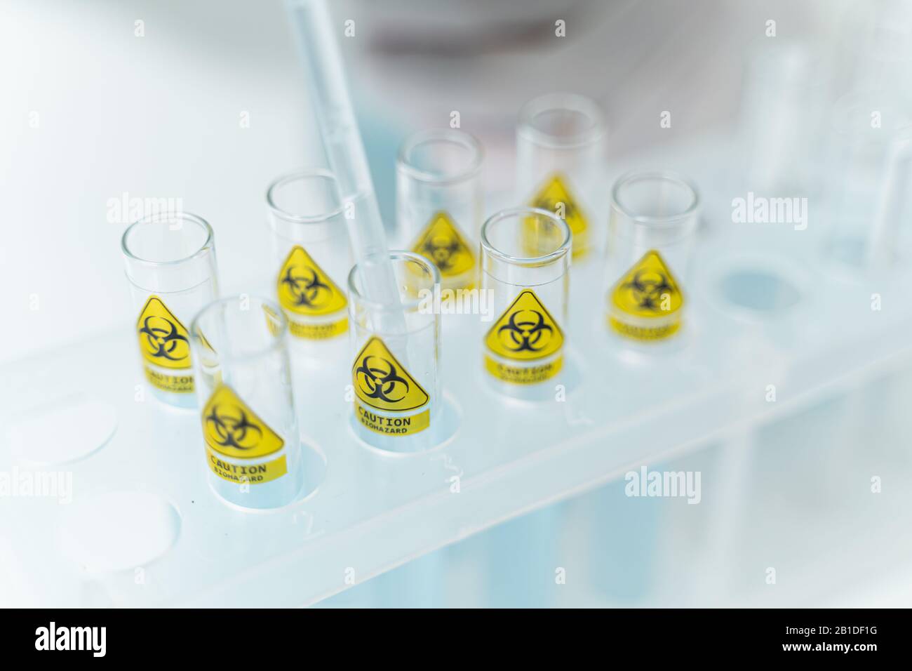 Focused photo on test tubes in support Stock Photo - Alamy