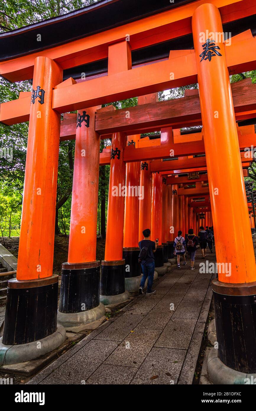 Torii path at Fushimi Inari shrine. There are more than 10,000 full ...