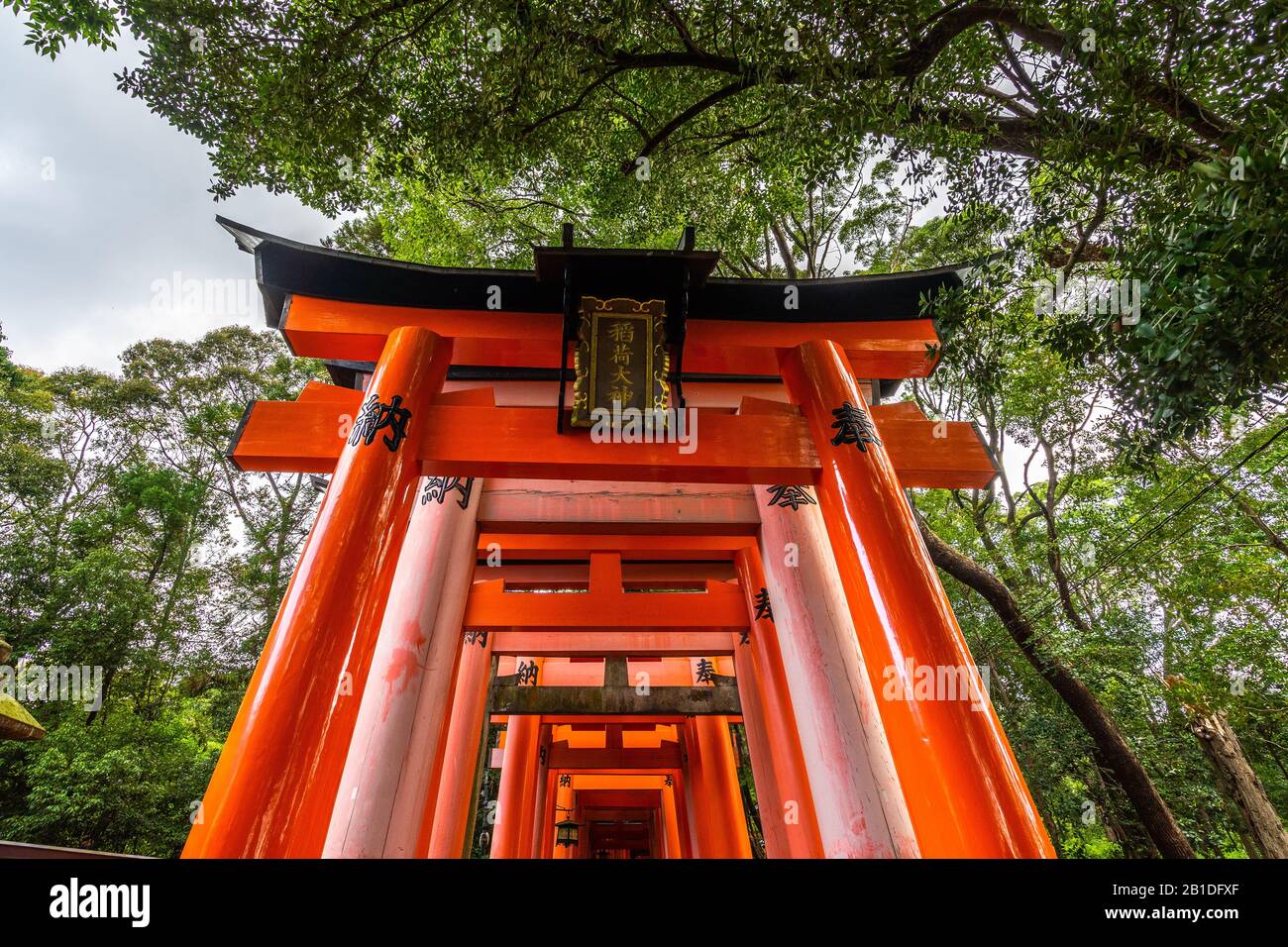Detail of the orange torii covering the scenic pathway of Fushimi Inari ...
