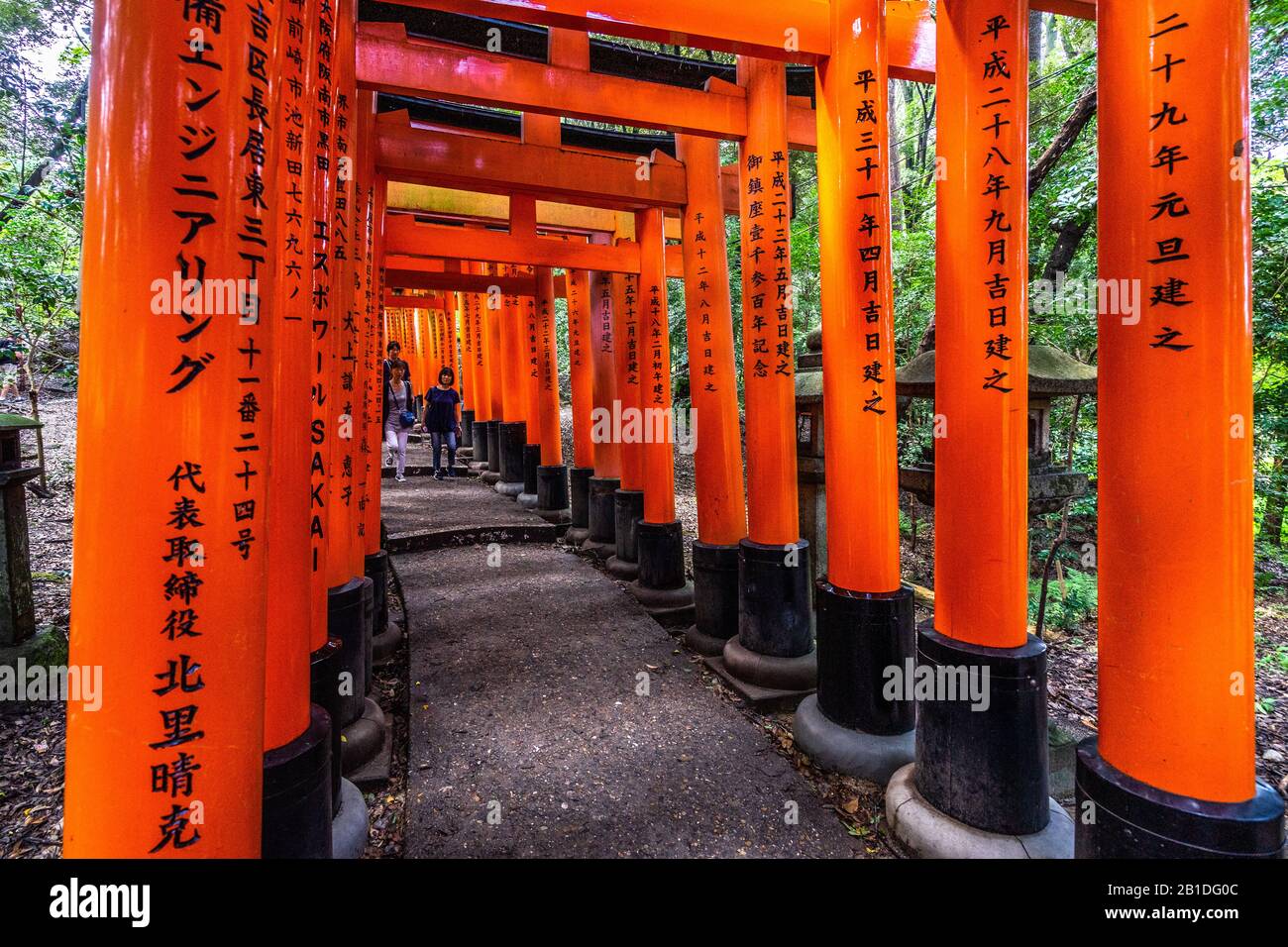 Torii path at Fushimi Inari shrine. There are more than 10,000 full ...
