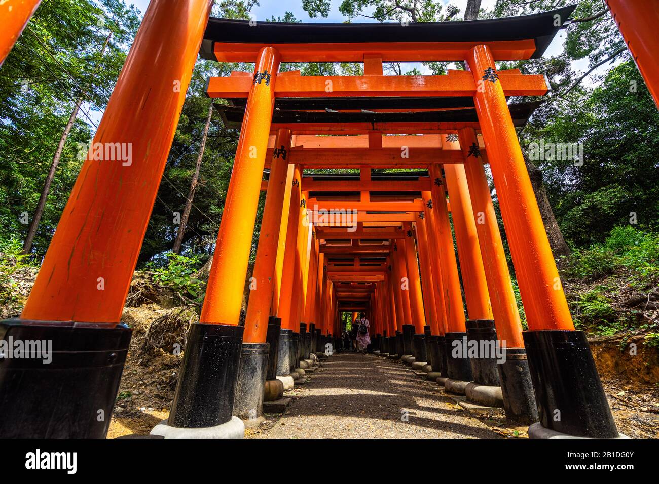 Tunnel of torii gates hi-res stock photography and images - Alamy