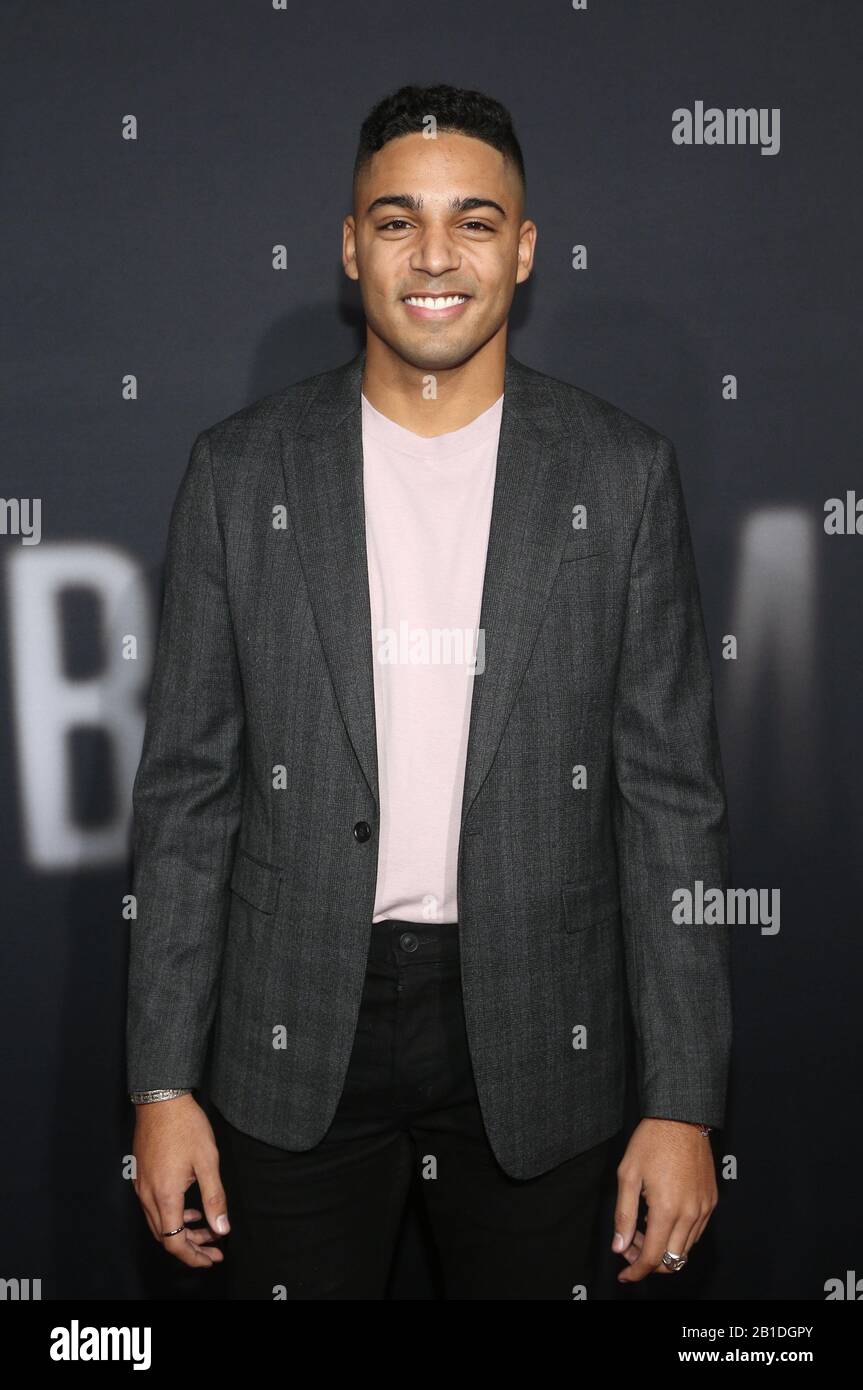 24 February 2020 - Hollywood, California - Michael Evans Behling ...