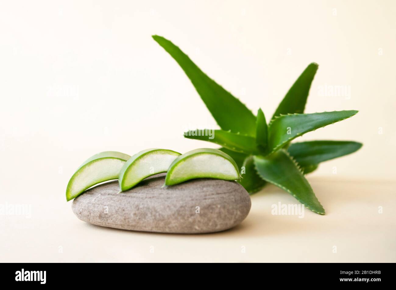 Pure aloe extract hi-res stock photography and images - Alamy