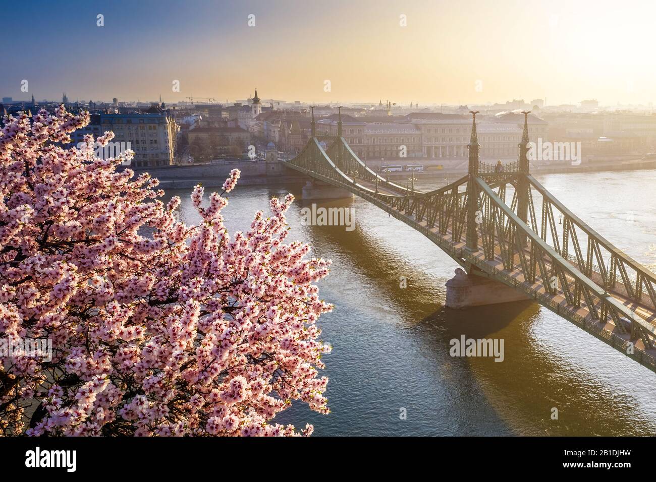 Budapest, Hungary - Beautiful Cherry Blossom and Liberty Bridge on a ...