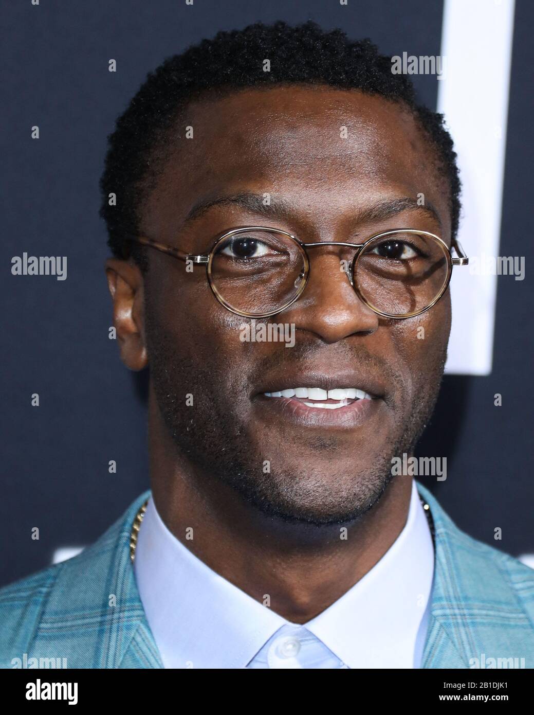 HOLLYWOOD, LOS ANGELES, CALIFORNIA, USA - FEBRUARY 24: Actor Aldis ...