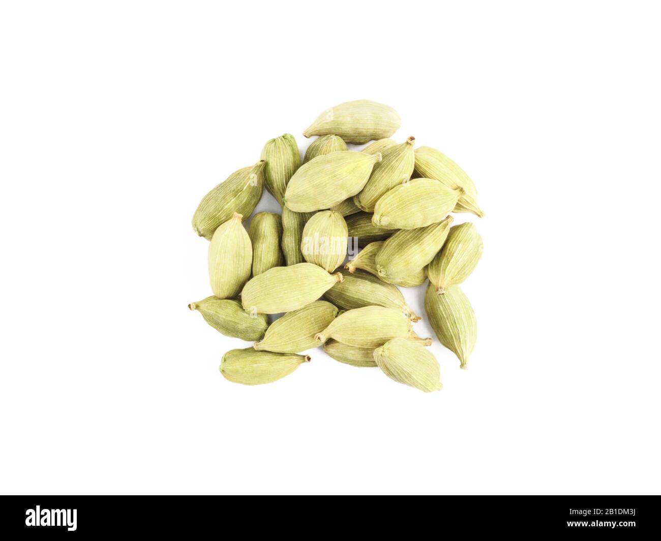A bunch of green cardamom seeds isolated on white background. Indian ...