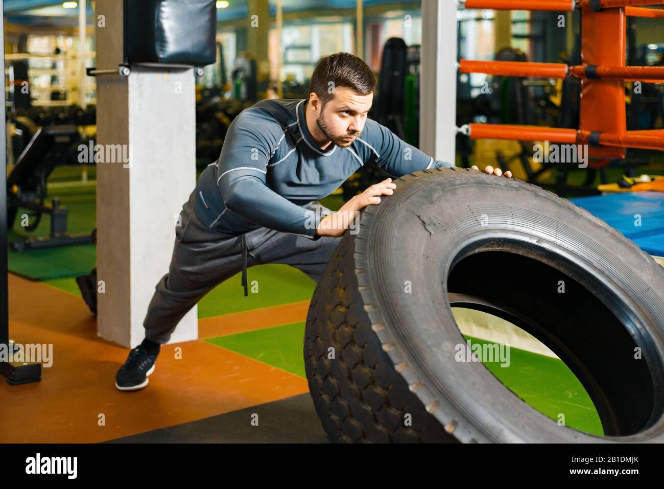 sturdy young guy pushing a big tire in the gym. man trains power ...