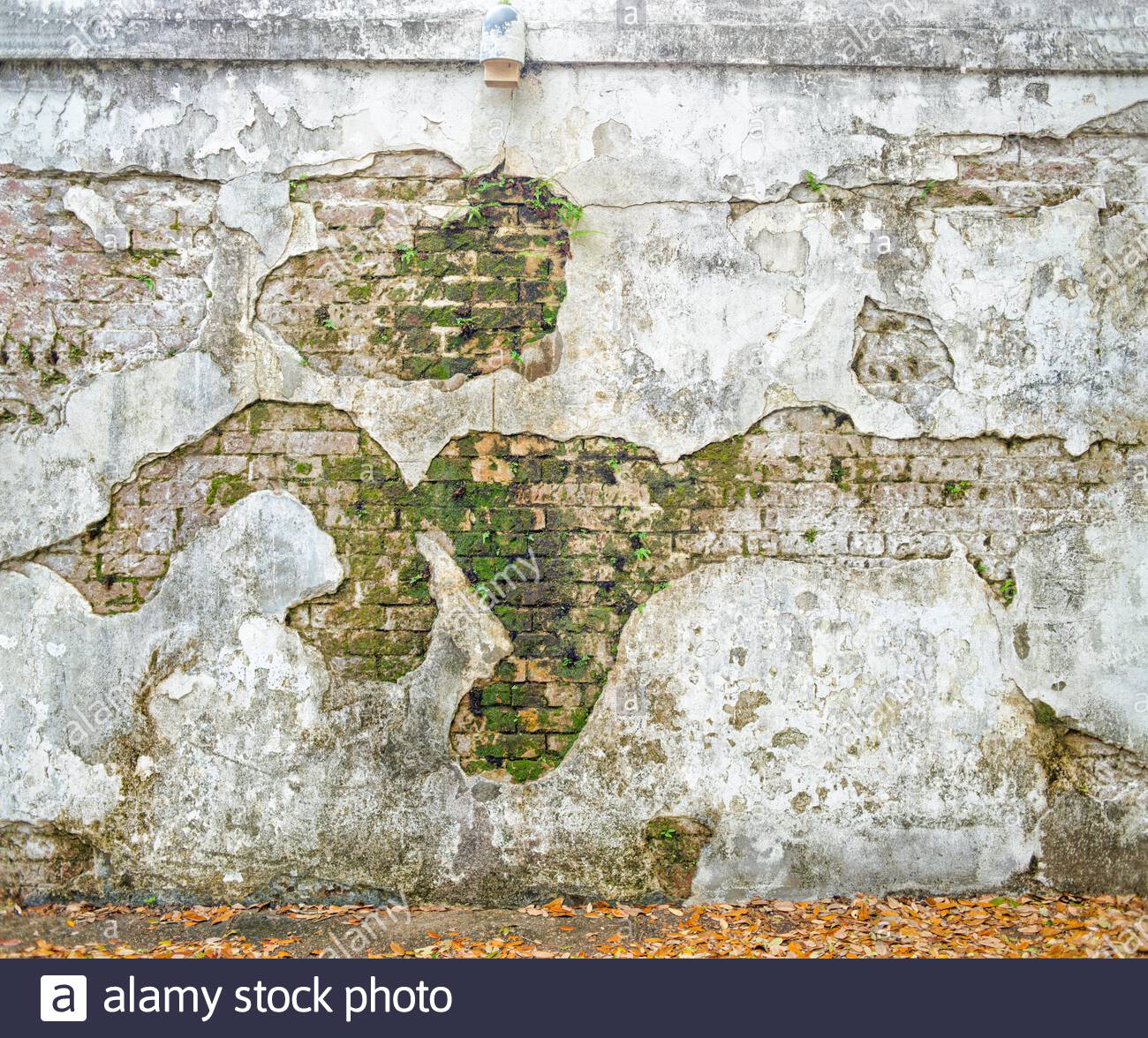 Crumbling Stucco High Resolution Stock Photography and Images - Alamy