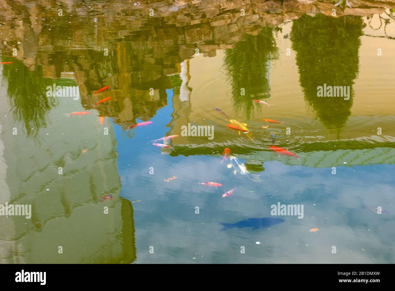 Fish pond monastery hi-res stock photography and images - Alamy