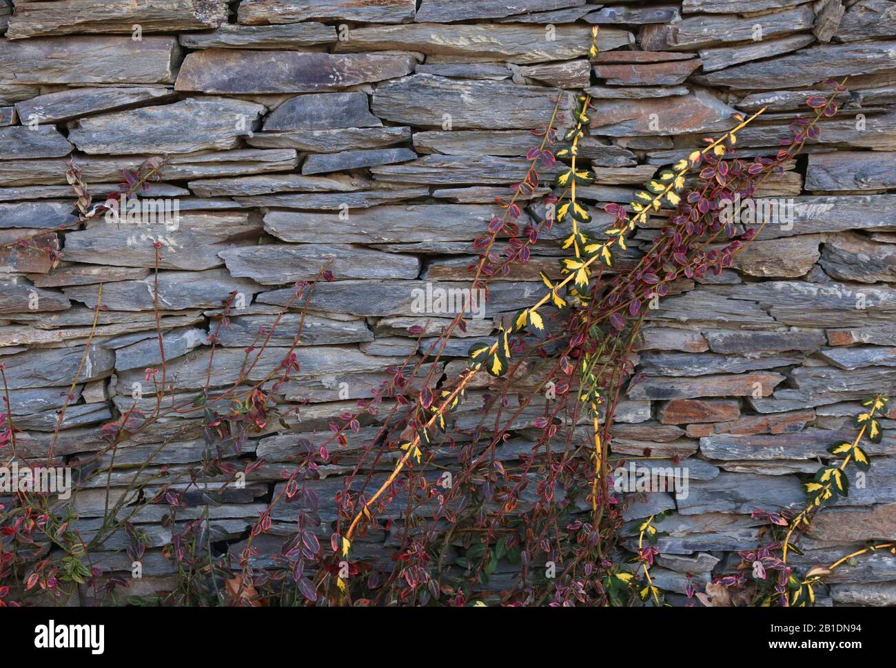 Rubble stone hi-res stock photography and images - Alamy
