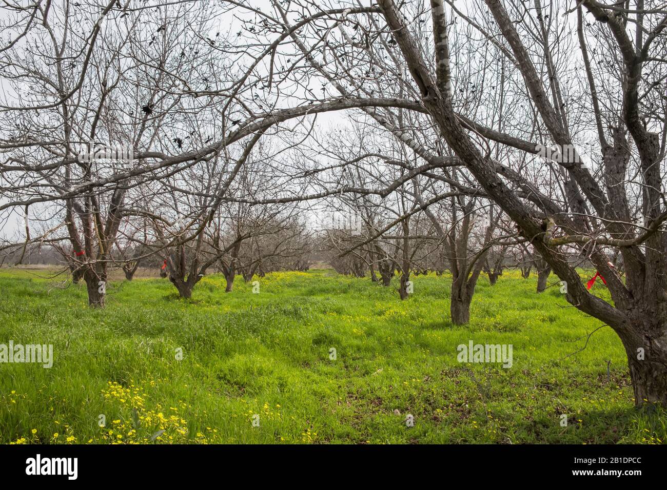 Surrounded by flowers and trees hi-res stock photography and images - Alamy