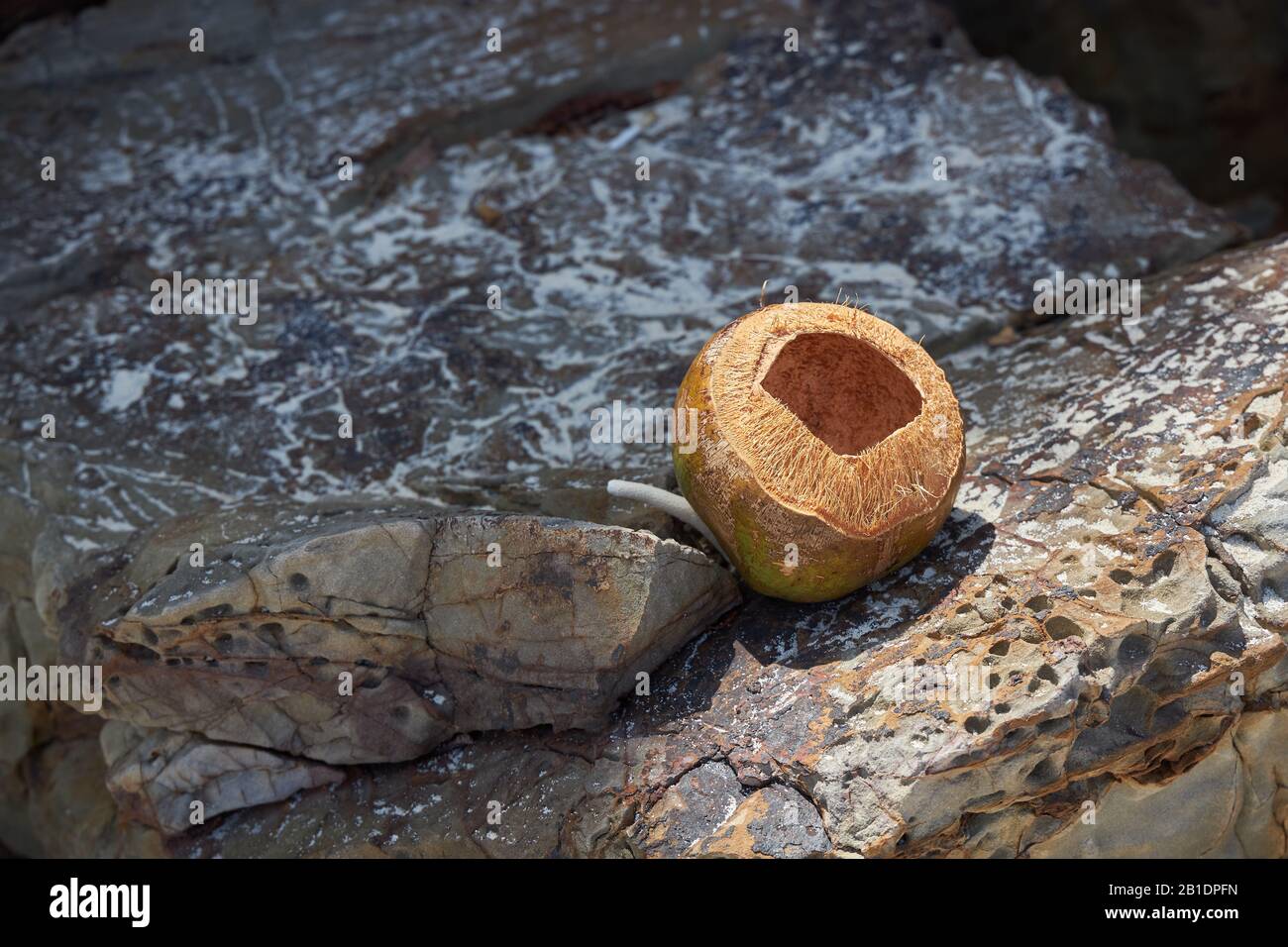 Tropic texture hi-res stock photography and images - Alamy
