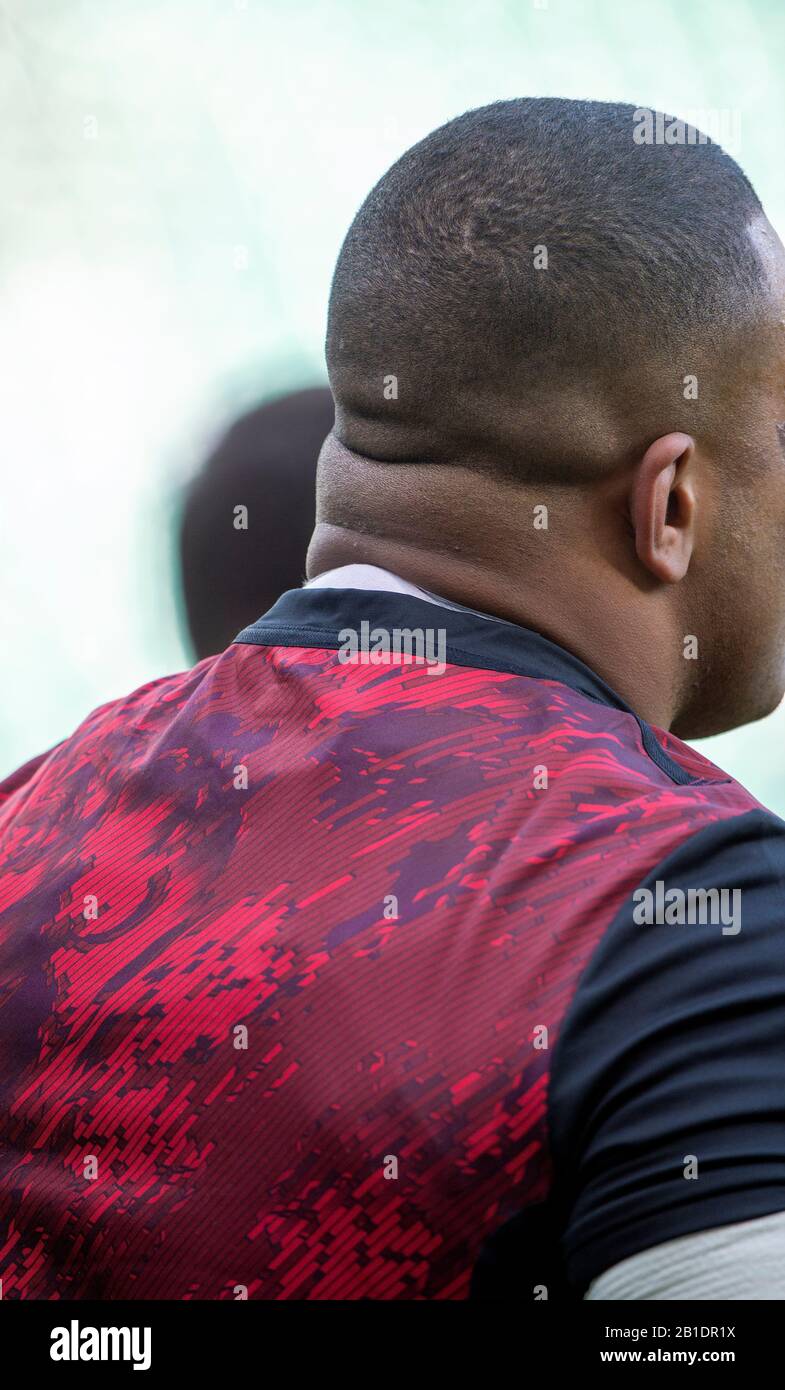 Neck muscles hi-res stock photography and images - Alamy