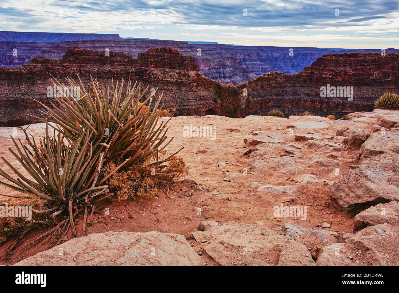 Grand canyon eagle hi-res stock photography and images - Alamy