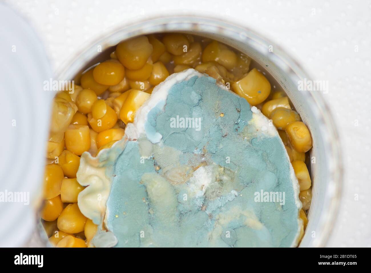 Rotting corn hi-res stock photography and images - Alamy