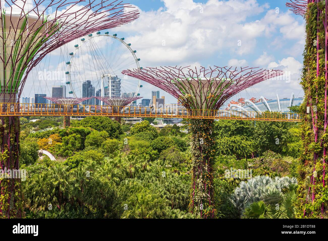 View of the towering vertical gardens and supertrees in Gardens by the ...