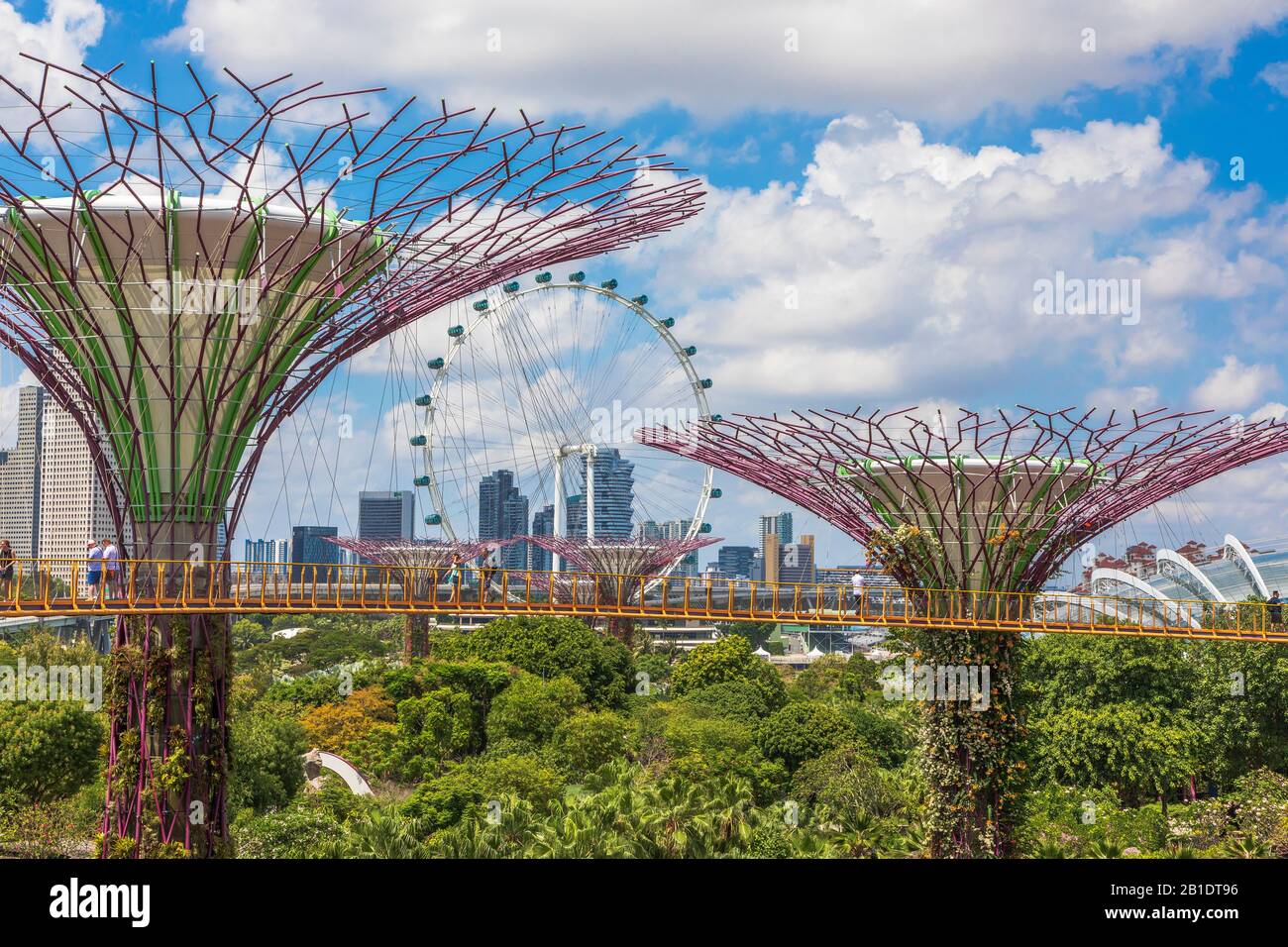View of the towering vertical gardens and supertrees in Gardens by the ...
