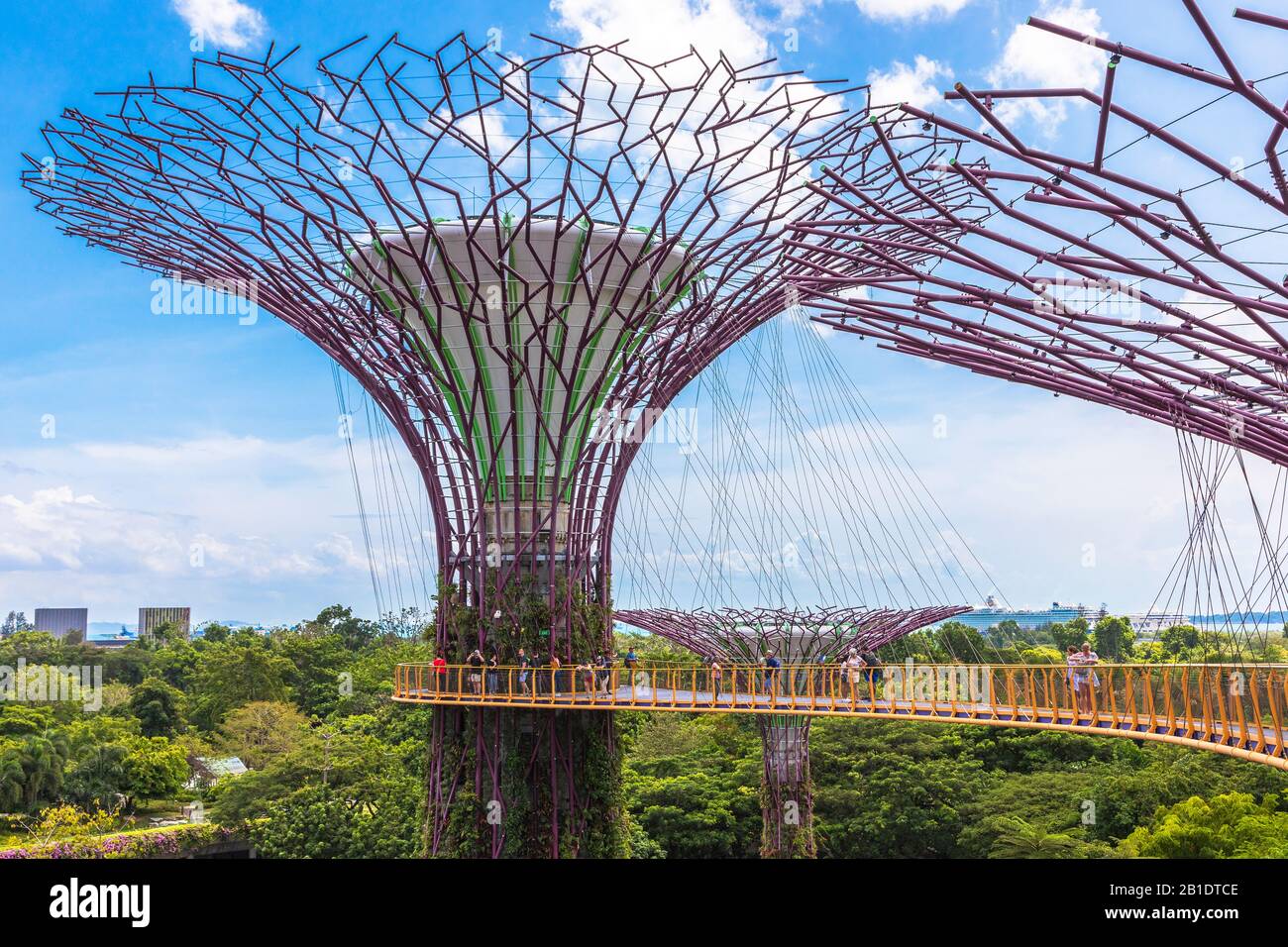 View of the towering vertical gardens and supertrees in Gardens by the ...