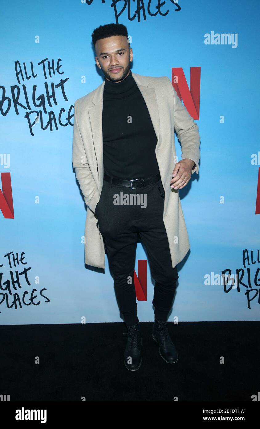 Hollywood, Ca. 24th Feb, 2020. Patrice Jones, at Netflix's All the ...