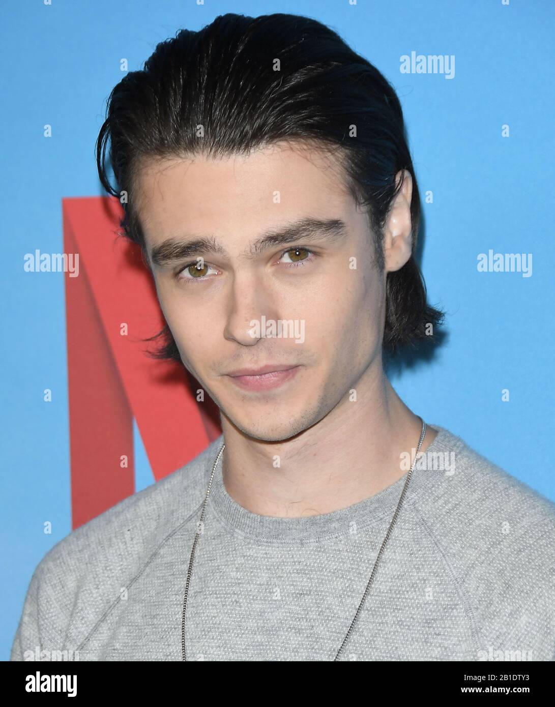 Felix mallard hi-res stock photography and images - Alamy