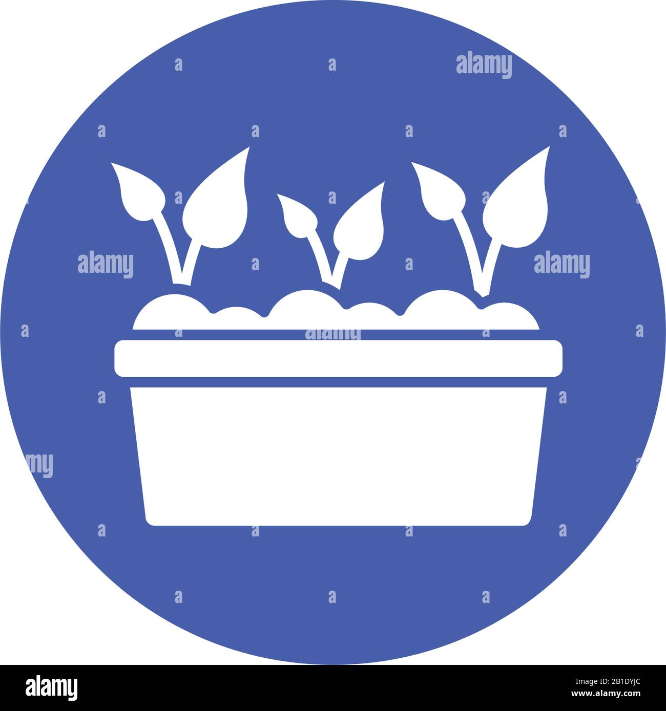 house plant cultivating block style Stock Vector Image & Art - Alamy
