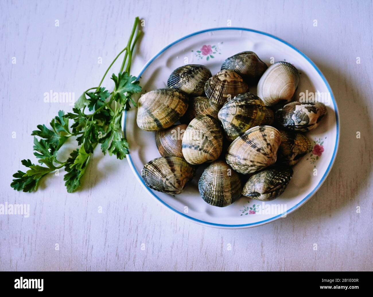 Seafood clams hi-res stock photography and images - Alamy