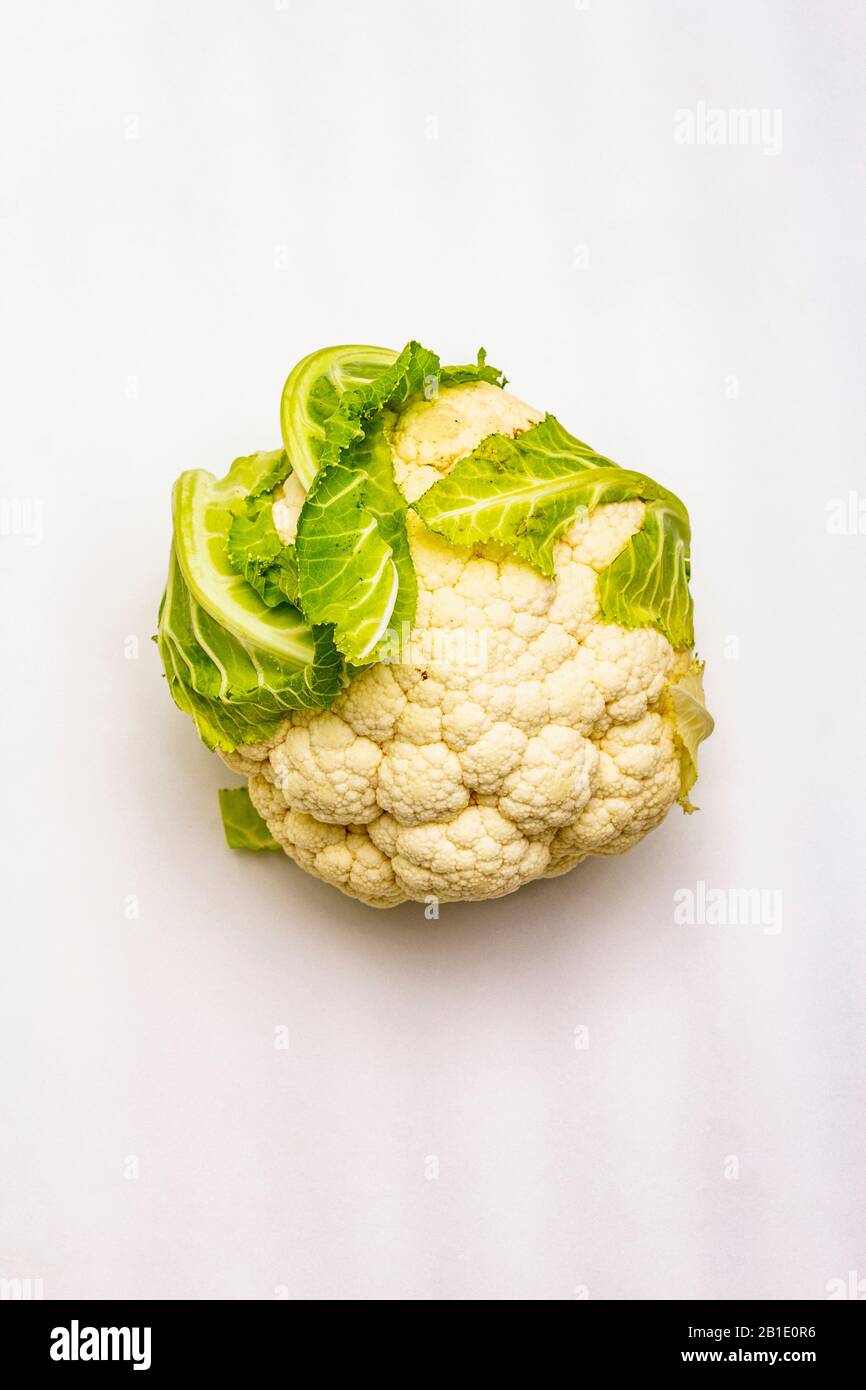 Ripe single cauliflower. Fresh whole head of cabbage, green leaves ...