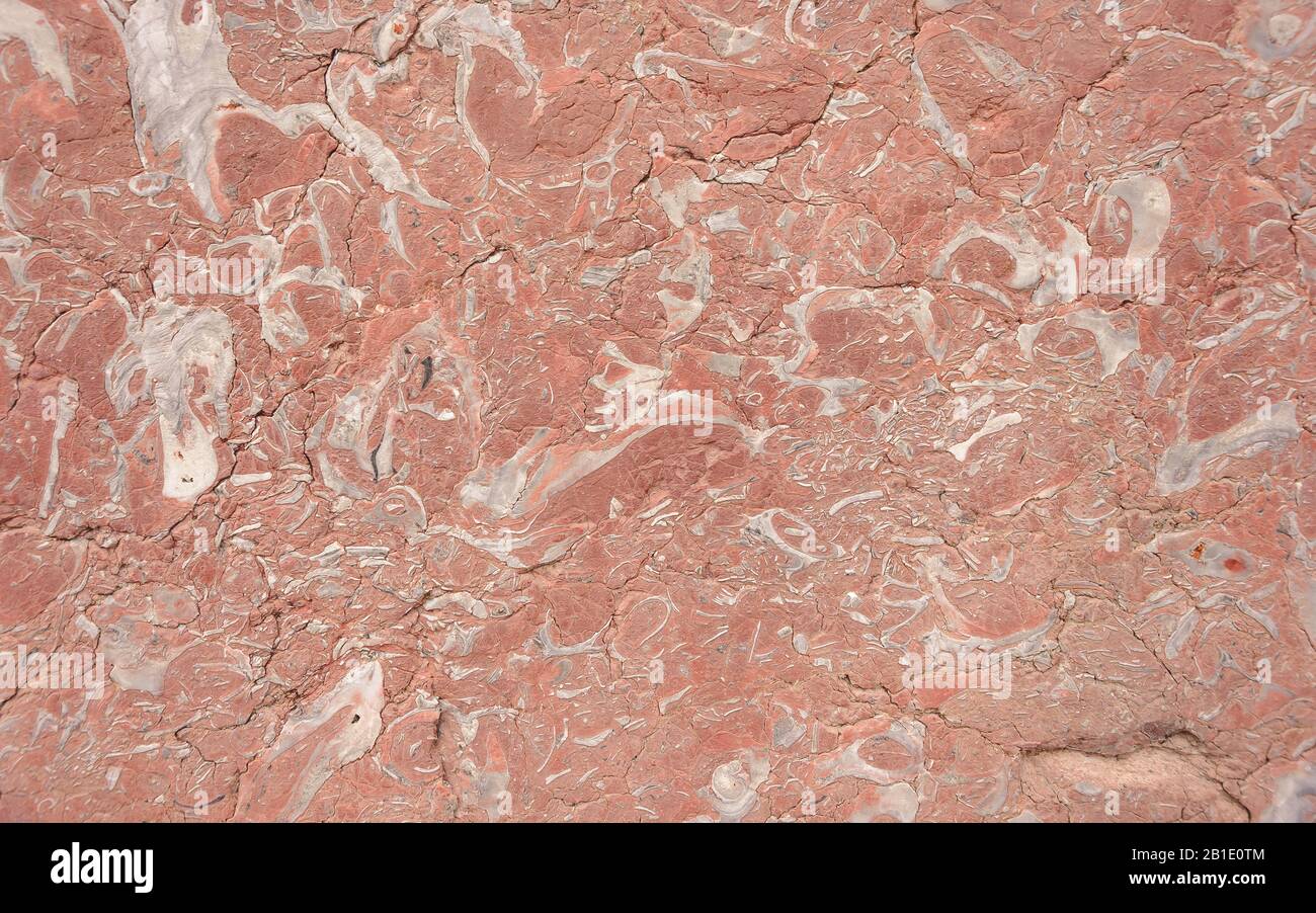 Natural slab of slate , sandstone which beautiful pattern, background ...