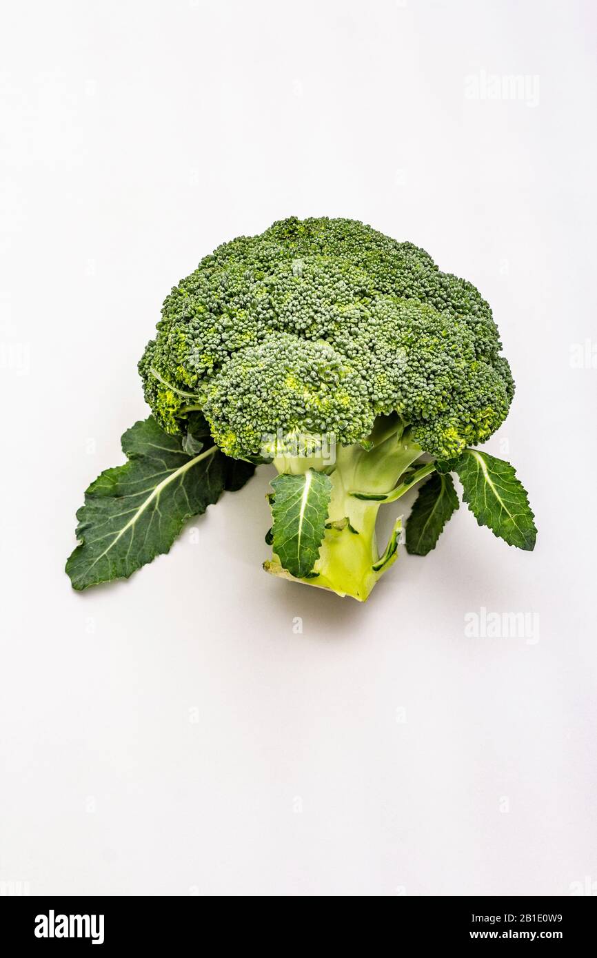 Ripe single broccoli. Fresh whole head of cabbage, green leaves ...