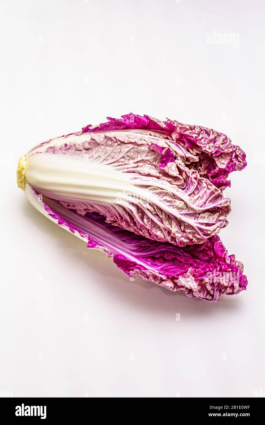 Ripe single purple Napa (chinese) cabbage. Fresh whole head of cabbage ...