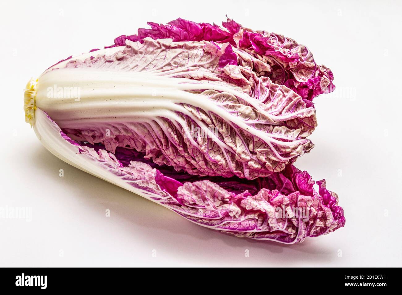 Ripe single purple Napa (chinese) cabbage. Fresh whole head of cabbage ...