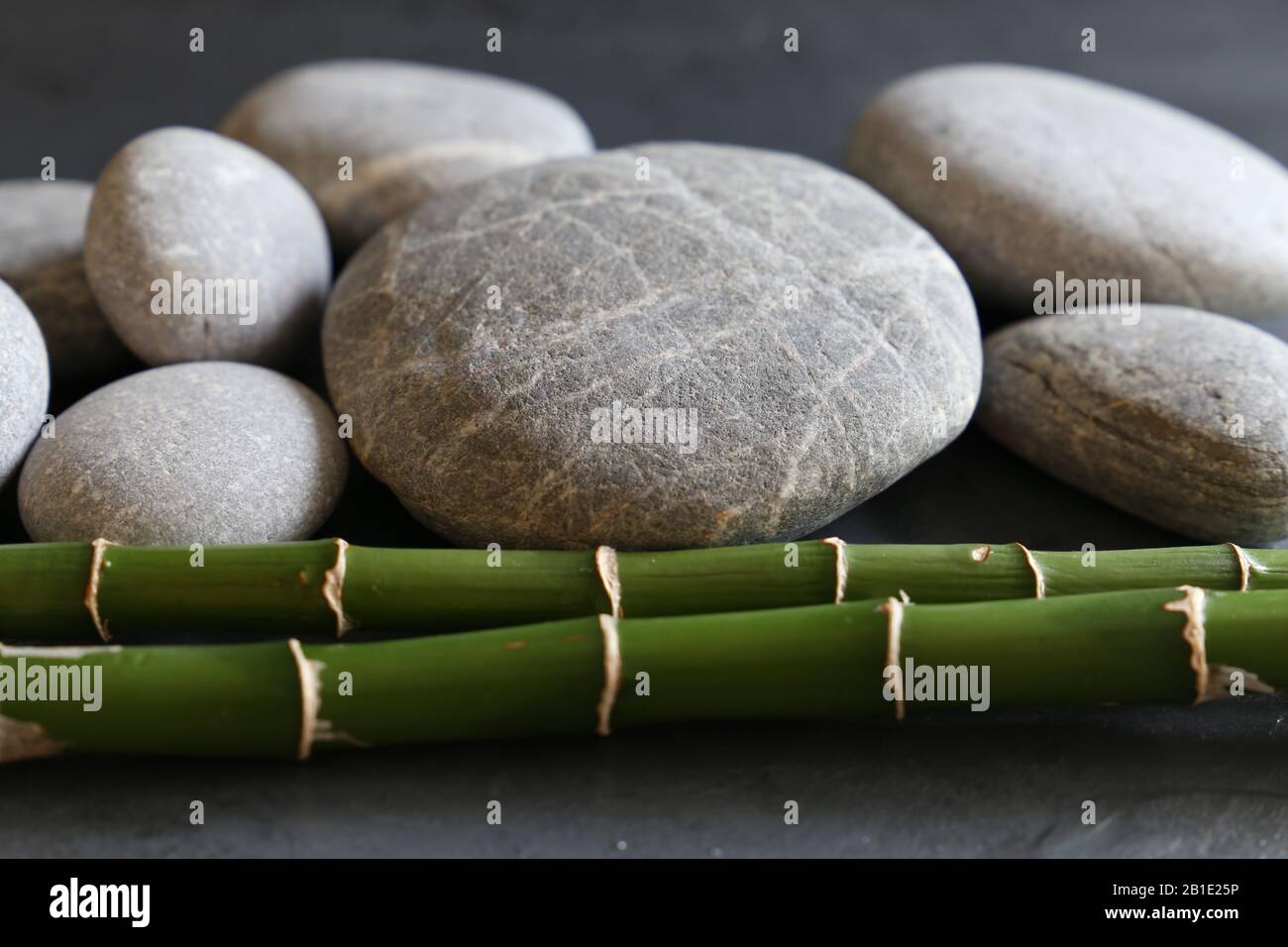 Pebble garden with bamboo hi-res stock photography and images - Alamy
