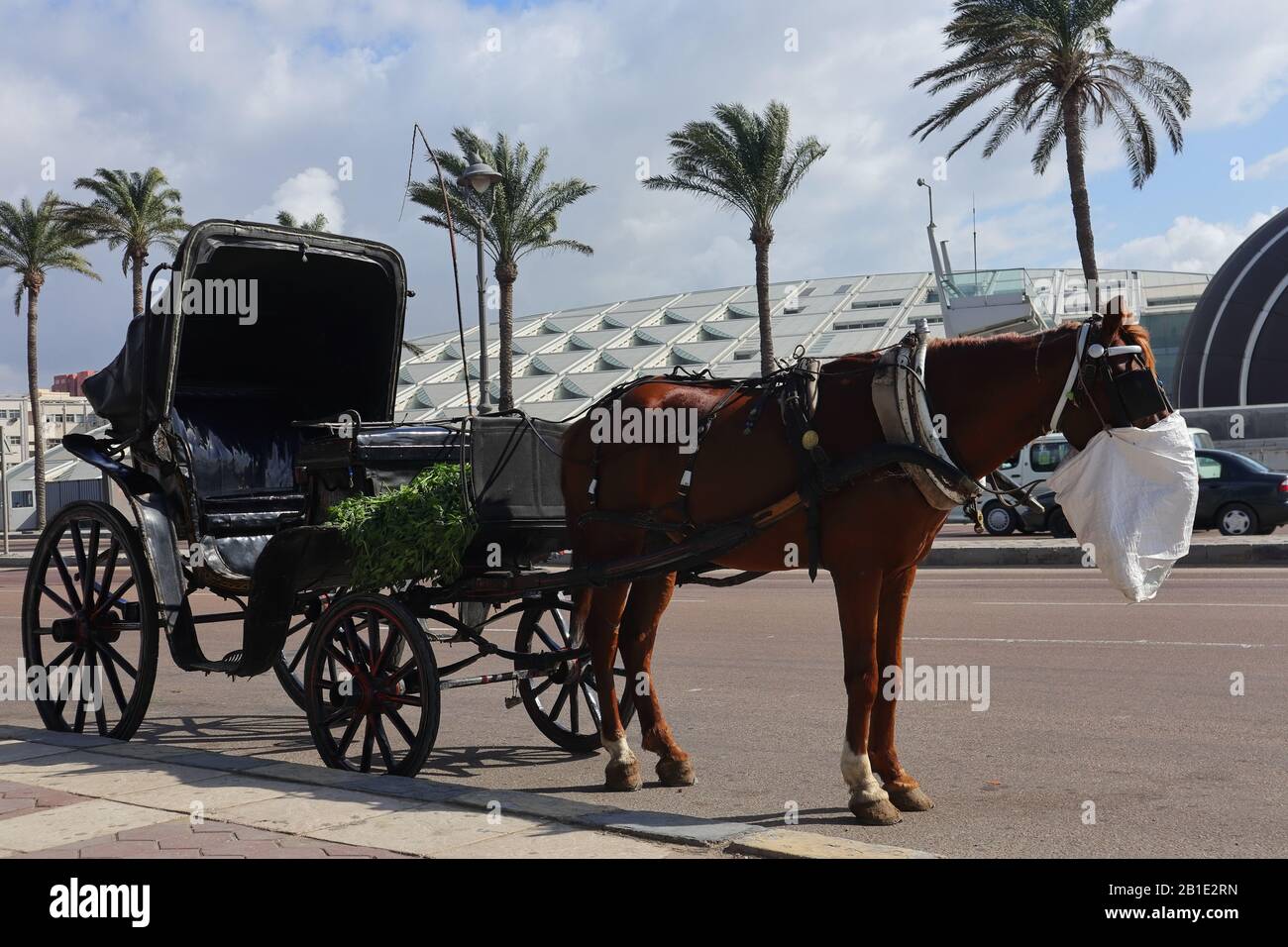 Horse drawn carriage old wagon - hantour in Egypt Alexandria Stock ...