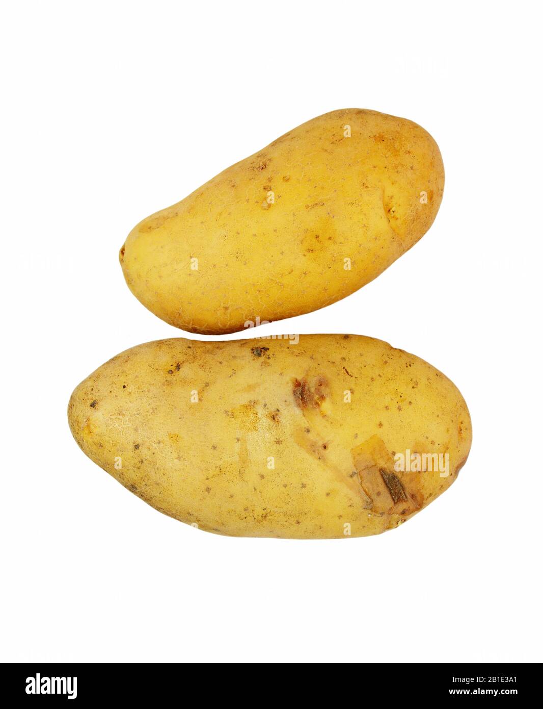 potato isolated on white background Stock Photo - Alamy