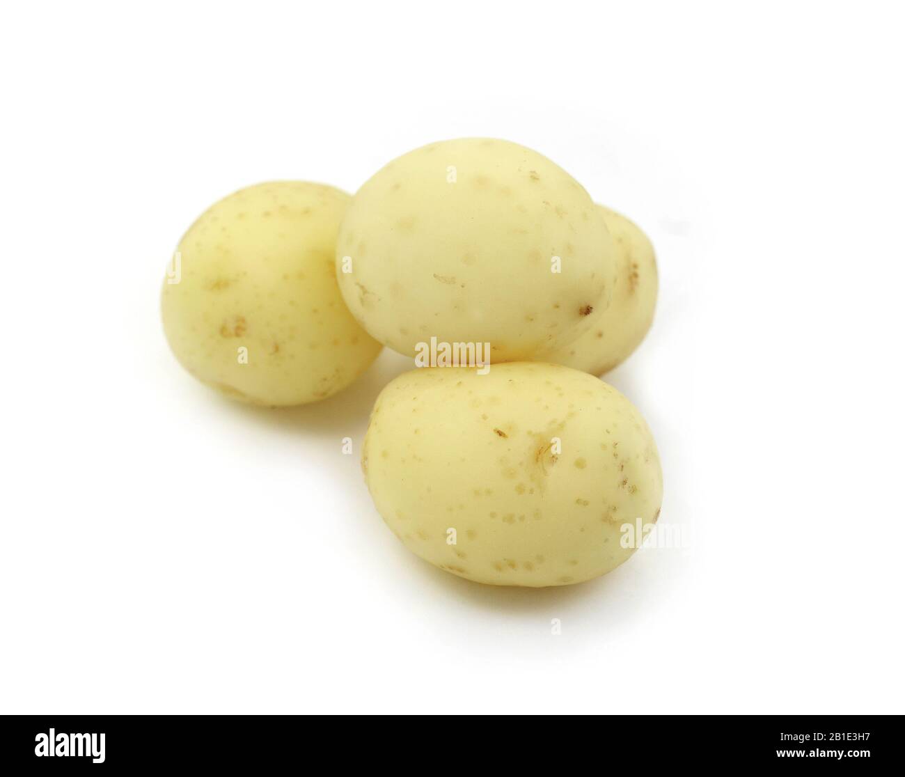 young potato isolated on white. Potato isolated on white background ...
