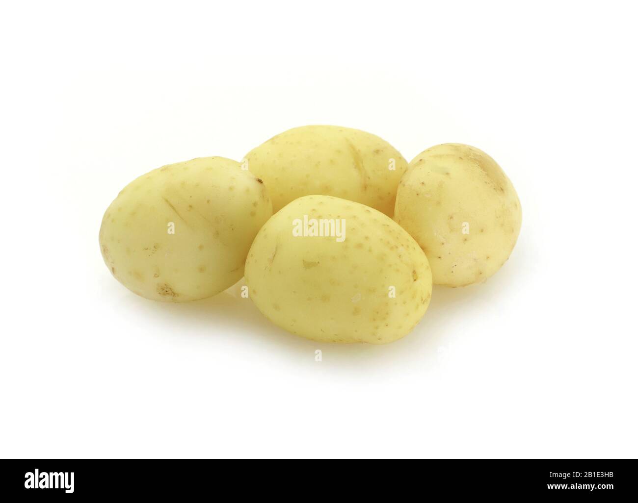 young potato isolated on white. Potato isolated on white background ...